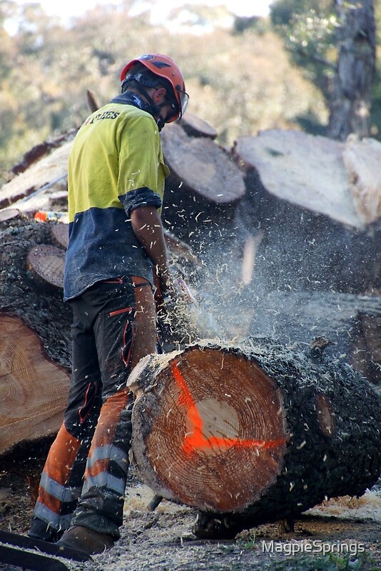"Tree Fella - by South Australian artist Avril Thomas" by MagpieSprings ...