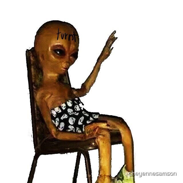 "2 turnt " by cheyennesamson | Redbubble