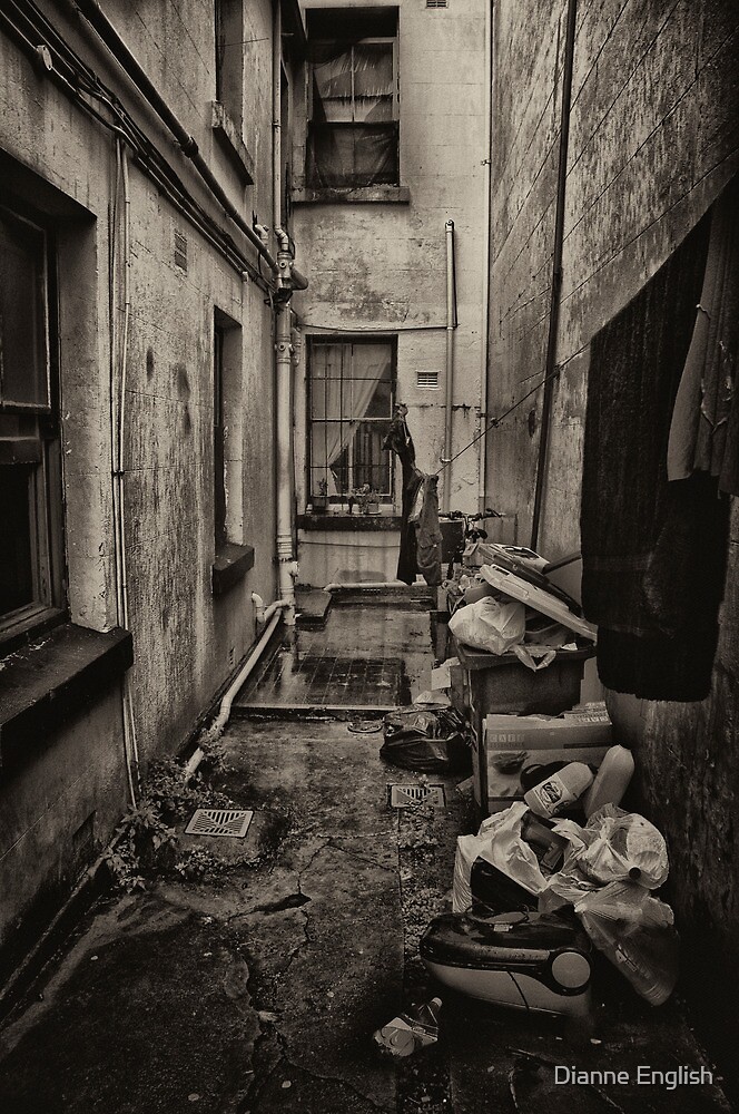 "Desolation Alley" by Dianne English | Redbubble