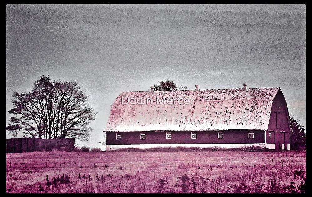 "Barn Beauty" by Dawn Mercer | Redbubble