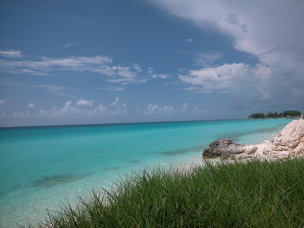 "Bimini Bahamas" by Michael Maxson | Redbubble