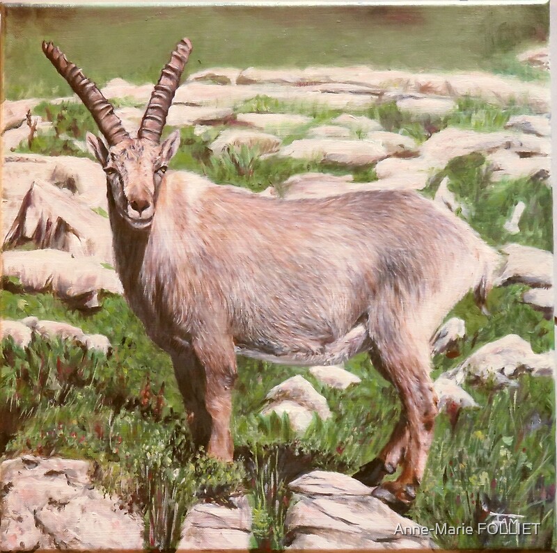 "Ibex painting in pose" by Anne-Marie FOLLIET | Redbubble