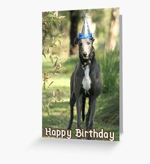 Greyhound Birthday Greeting Cards | Redbubble