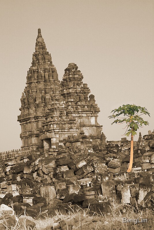 "Barren vs Life" by BengLim | Redbubble