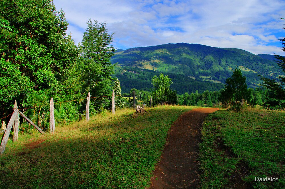 "Chile, Countryside and Mountain" by Daidalos | Redbubble