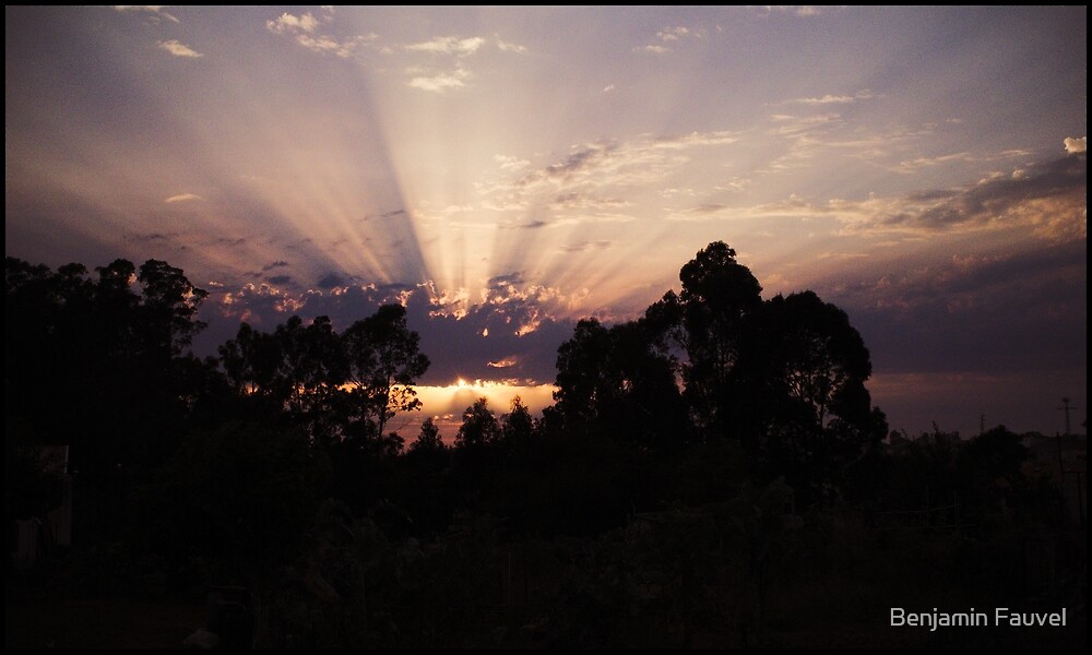 "Sunset on Gaia" by Benjamin Fauvel | Redbubble