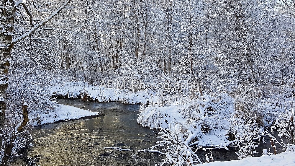 "Winter Stream II - Alaska" by ADM Photography | Redbubble
