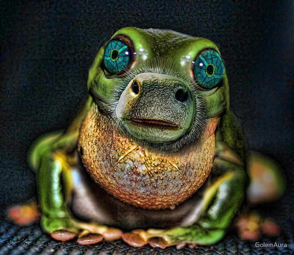 "Is a Frog's Butt Water Tight?" by GolemAura | Redbubble