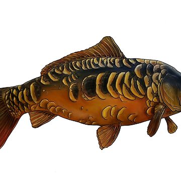 "Mirror carp" Stickerundefined by Inkfish Art | Redbubble