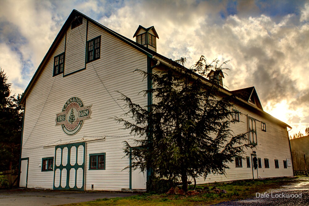 "Carnation Tree Farm" by Dale Lockwood | Redbubble