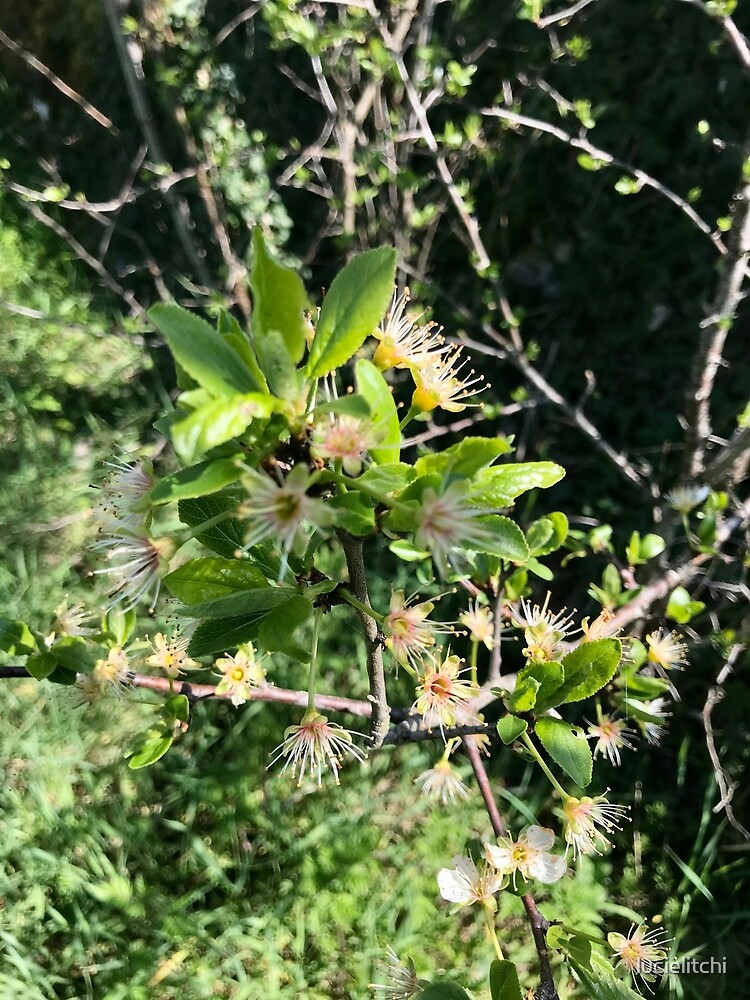 "Innocuous explosion" by lucielitchi | Redbubble