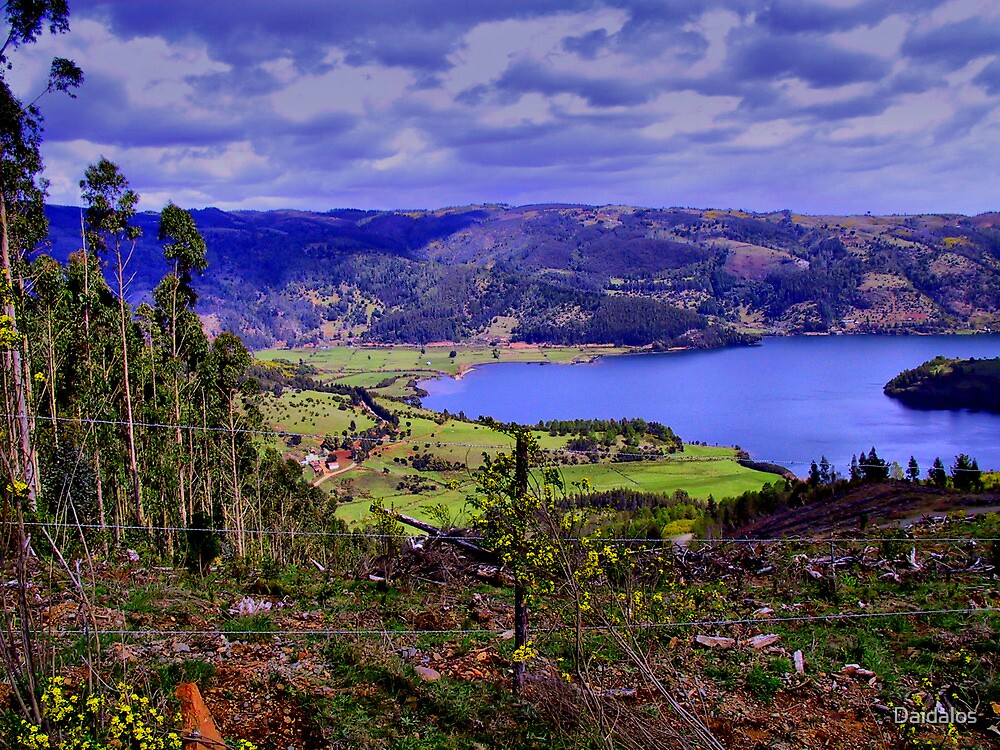 "Chile, Lake Lleu-Lleu, Contulmo" by Daidalos | Redbubble