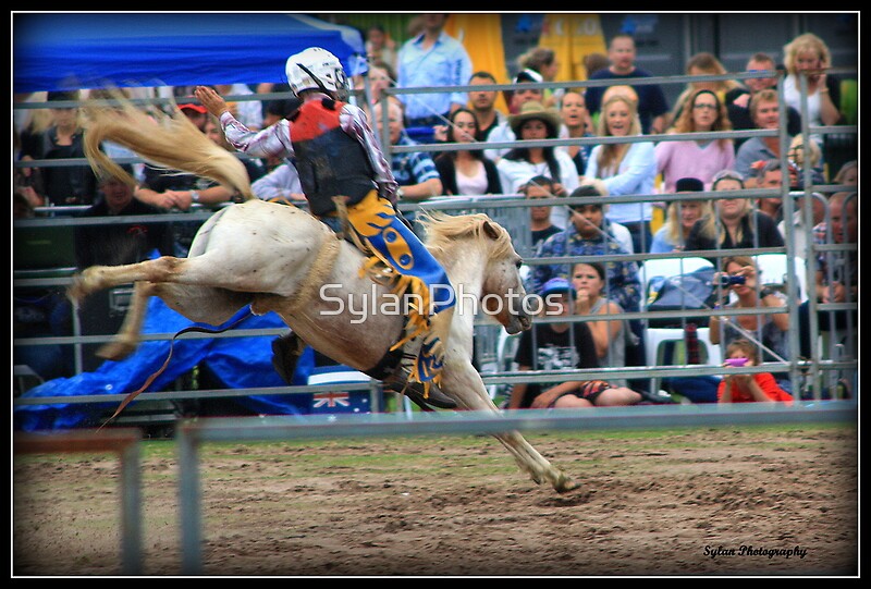 "Mini Bronc Rider 3" by SylanPhotos | Redbubble