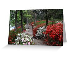 "Middleton Place Plantation - Colorful array of Azaleas" by photosan ...