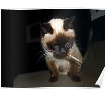 "Smoking Cat" by Hapatography | Redbubble