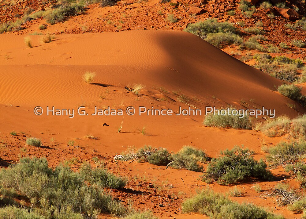 "The Sand Dunes of Arizona © " by © Hany G. Jadaa © Prince John ...