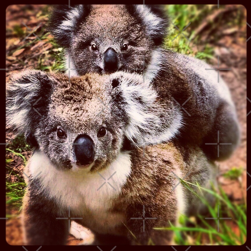 "Intense Mother & Child" by Catherine C. Turner | Redbubble