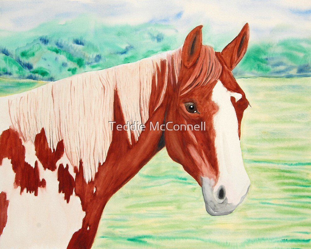 "Pinto Painted Horse Portrait" by Teddie McConnell | Redbubble