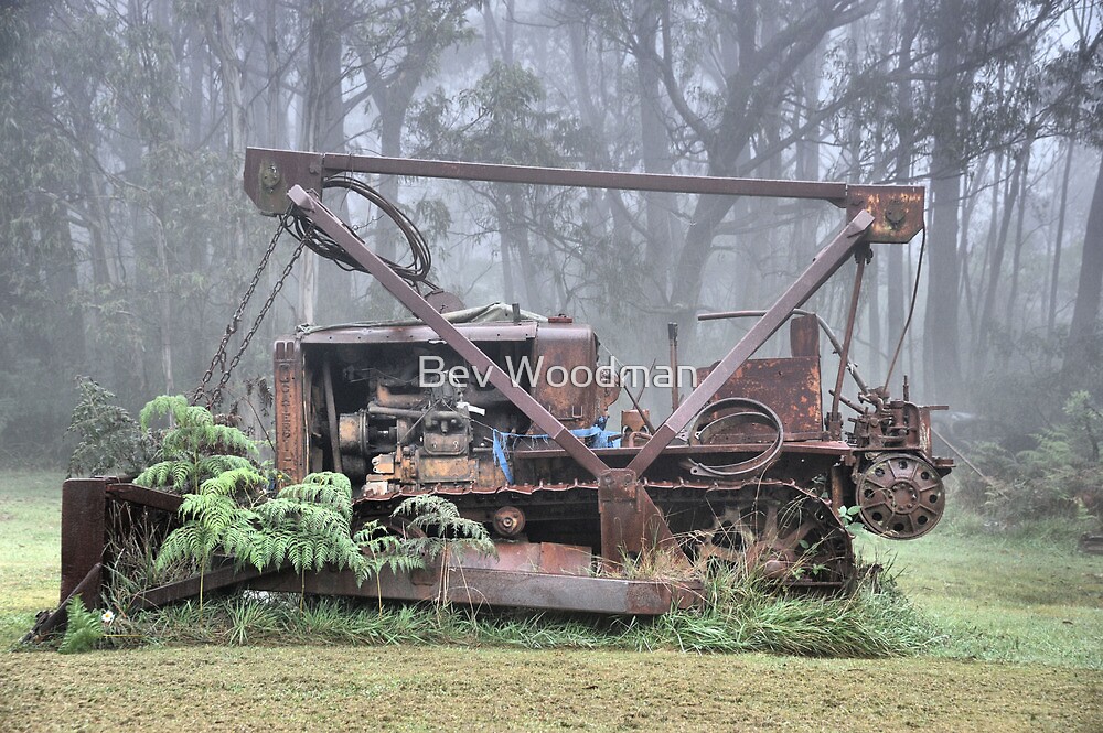 "Bull Dozer Dozing!! Mt Wilson NSW Australia" by Bev Woodman | Redbubble