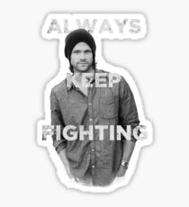 Always Keep Fighting: Stickers | Redbubble