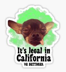 Hannah Hart: Gifts & Merchandise | Redbubble