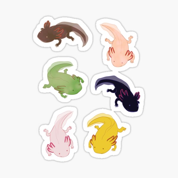 Axolotl Stickers | Redbubble