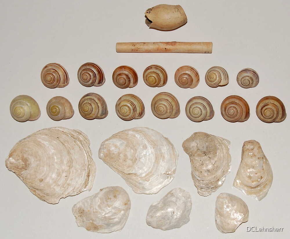 "A Vision In Shell & Pipe" by DCLehnsherr | Redbubble