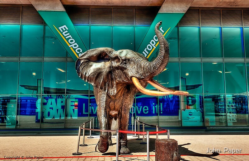 "Elephant Statue at Cape Town International Airport, South Africa" by ...