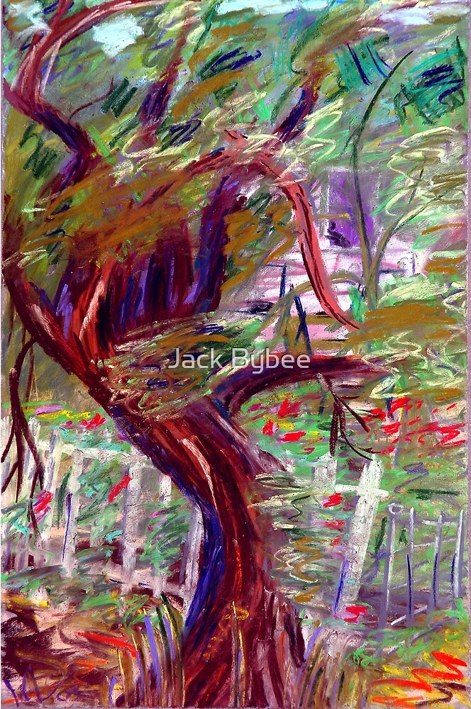 "Old Mesquite on 4th Avenue, Tucson." by Jack Bybee | Redbubble