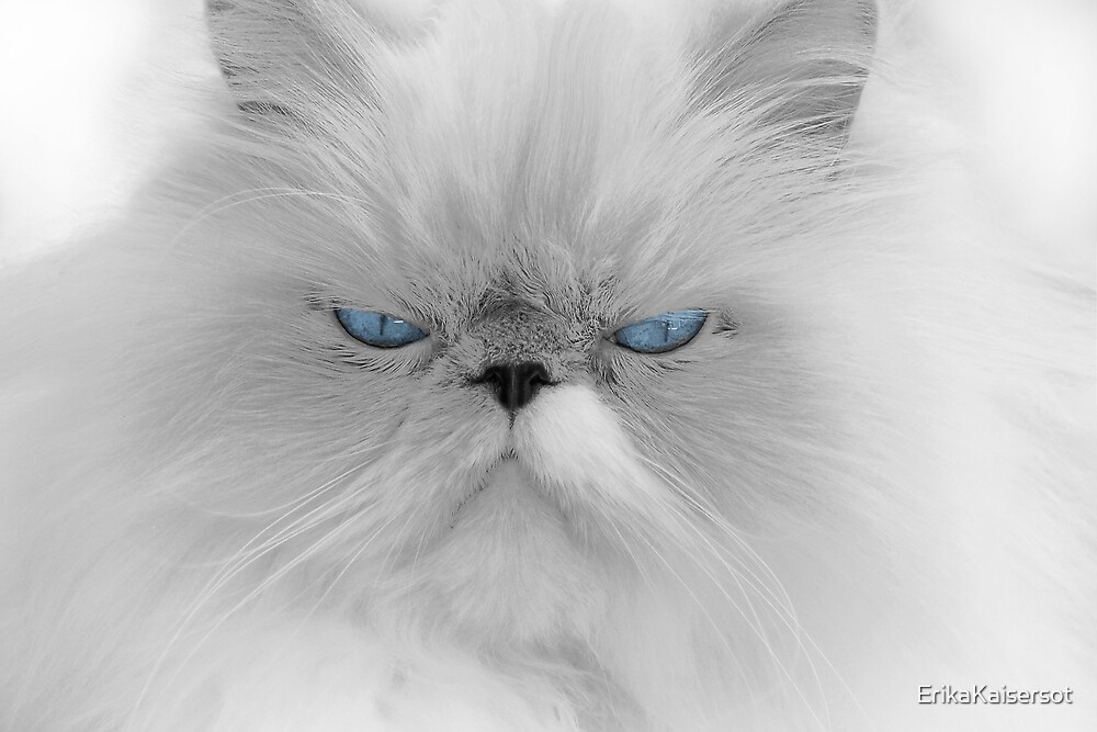 "White Angry Cat" by Erika Kaisersot | Redbubble
