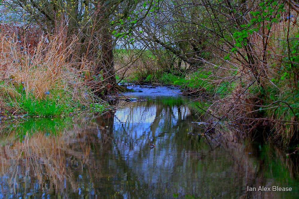 "The Baydale Beck, April 15 th, Darlington, England" by Ian Alex Blease ...