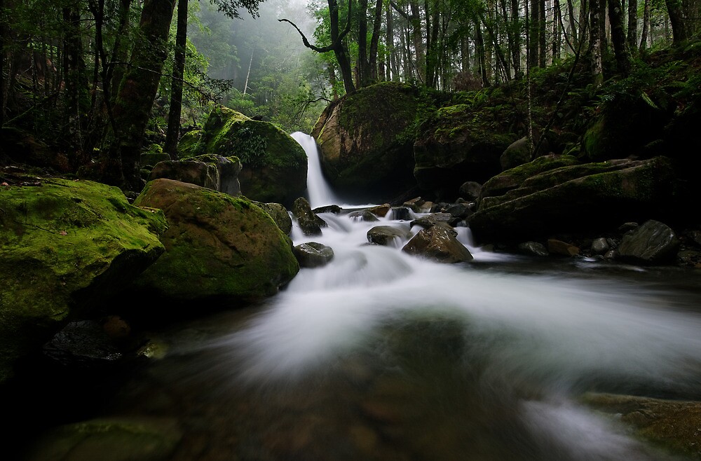 "Meanders House of Green" by Robert Mullner | Redbubble