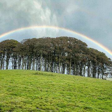 "Rainbow Nearly Home Trees, Coming home trees, Cornwall trees ...