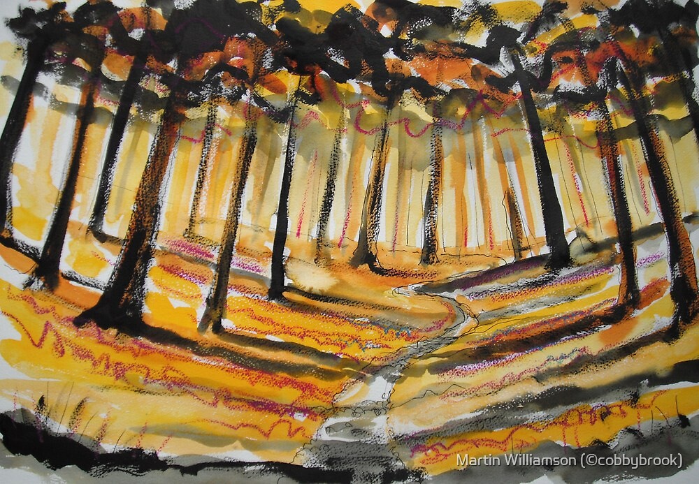 "'Strid Wood, Bolton Abbey, Yorkshire Dales'" by Martin Williamson ...