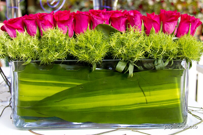 "A row of roses" by papillonphoto | Redbubble