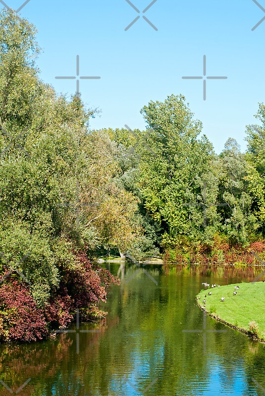 "Rheinaue Park in Bonn" by Vac1 | Redbubble