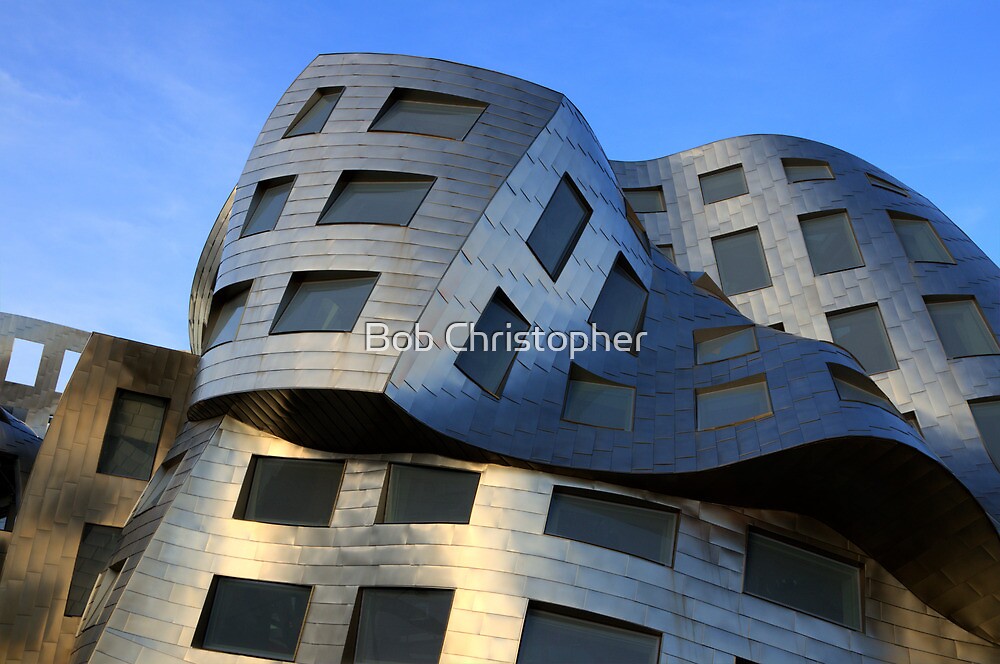 "Brain Institute Building " by Bob Christopher | Redbubble
