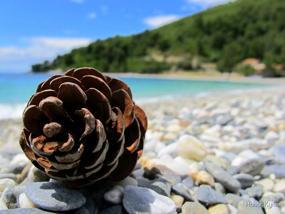 "Pine Cone - Beach Surrounded by Pine Trees" by Honor Kyne | Redbubble