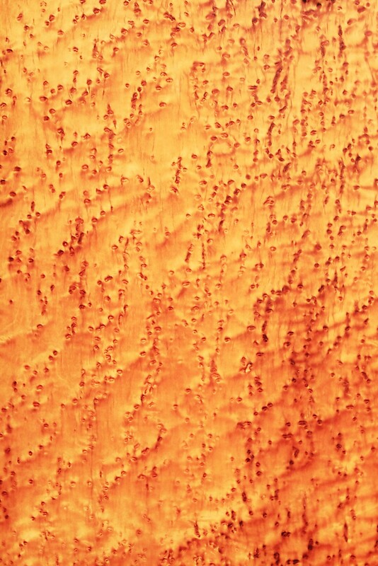 "Vintage Retro Bird's Eye Maple Wood Grain Patterns" by KateLCardsNMore ...