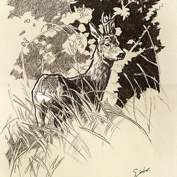 "Roebuck in the field drawing" Essential T-Shirt for Sale by ...