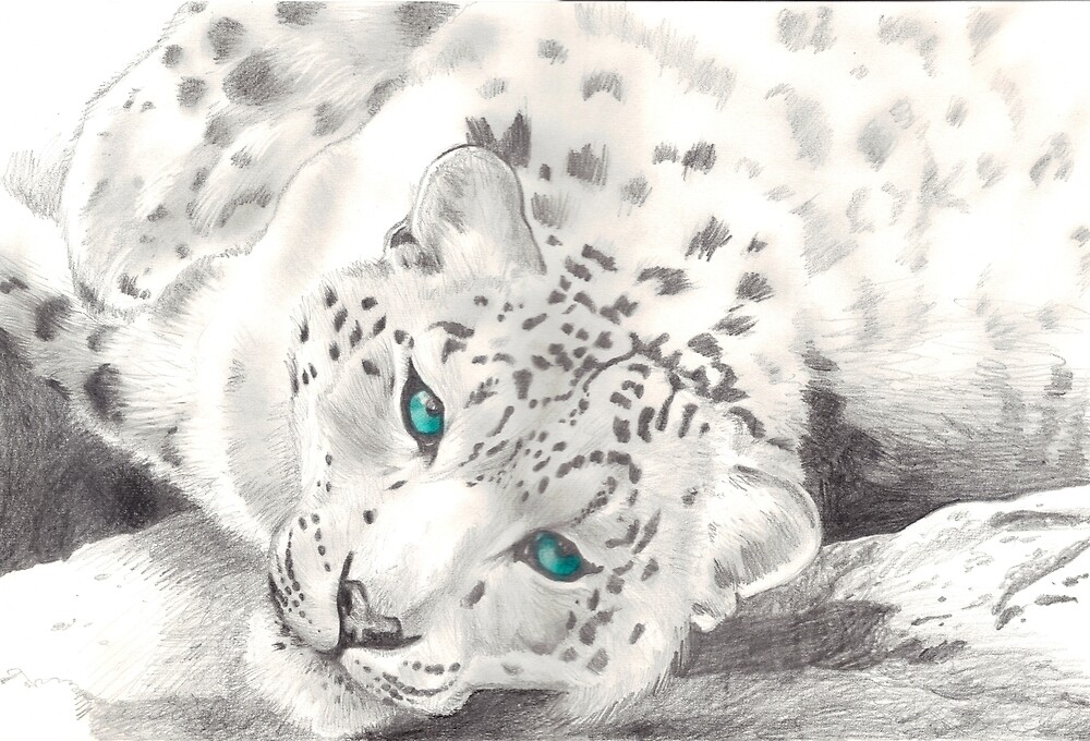 "Snow Leopard Graphite art" by WilliamKenney | Redbubble