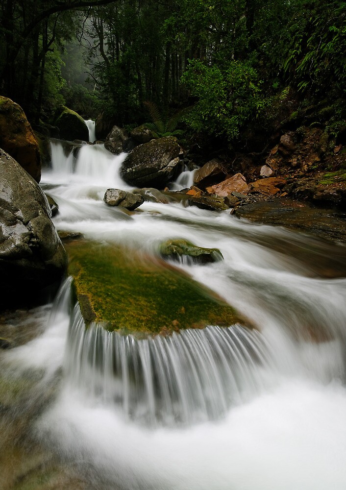 "Meanders Portrait" by Robert Mullner | Redbubble