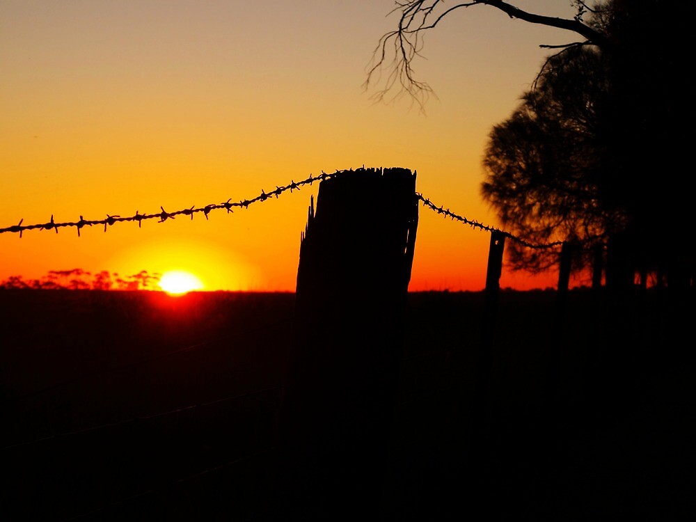 "Sunset Country Fence " by Bardiboy | Redbubble