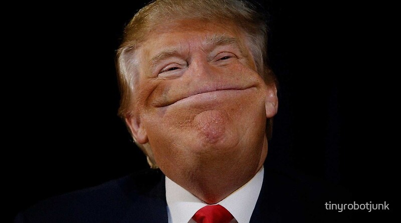 "Lump 2020" by tinyrobotjunk | Redbubble