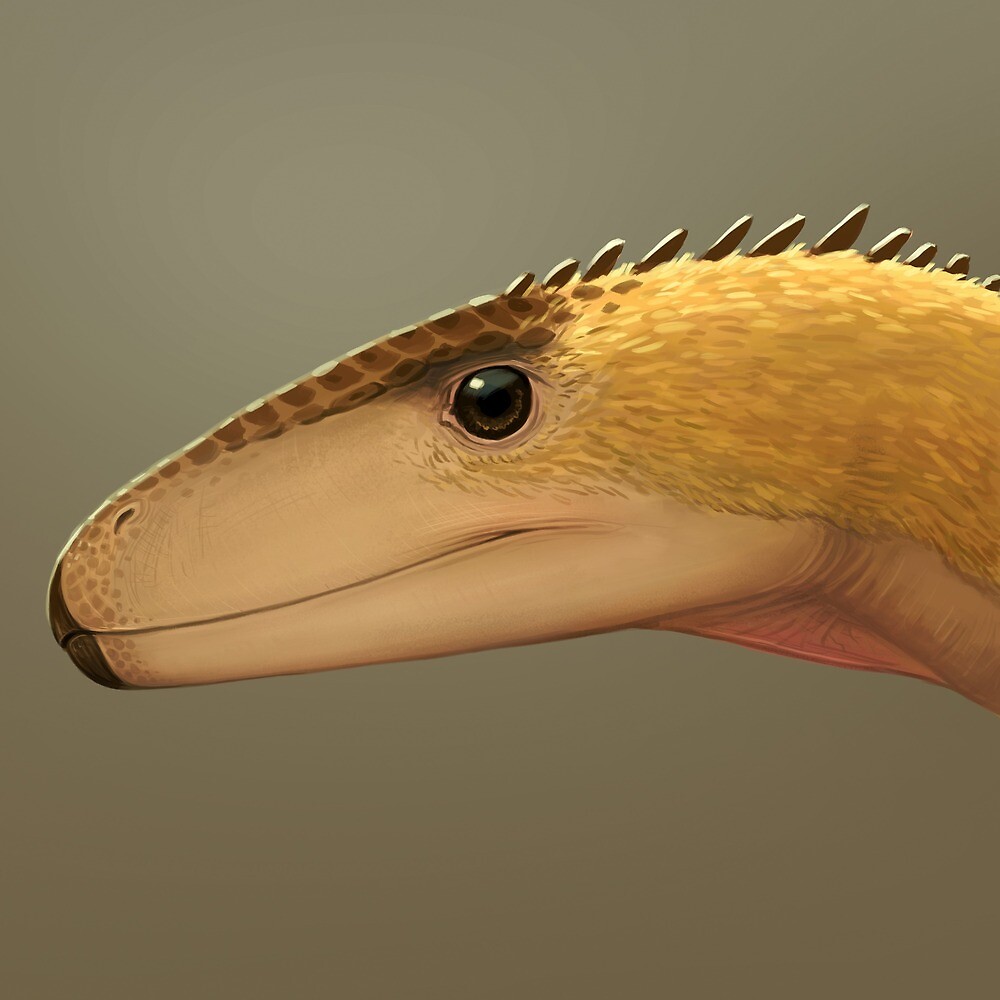 "Silesaurus" by Amaruuk | Redbubble