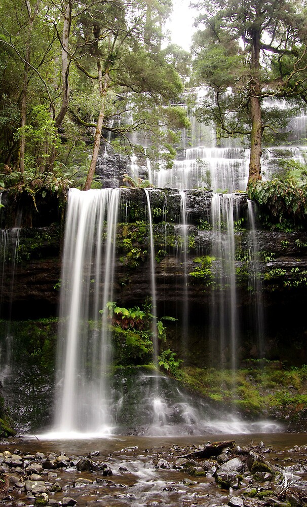 "Russell Falls" by Traffordphotos | Redbubble