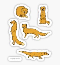 Mongoose Stickers | Redbubble