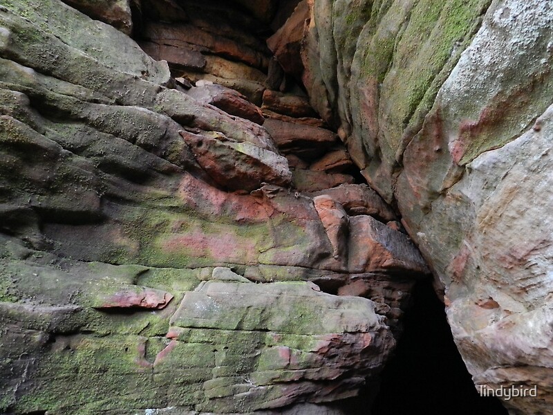 "Cave at Malabar Farm" by lindybird | Redbubble