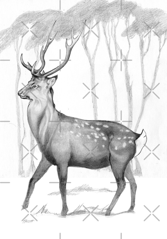 "Sika Stag On Alert" by Patricia Howitt | Redbubble
