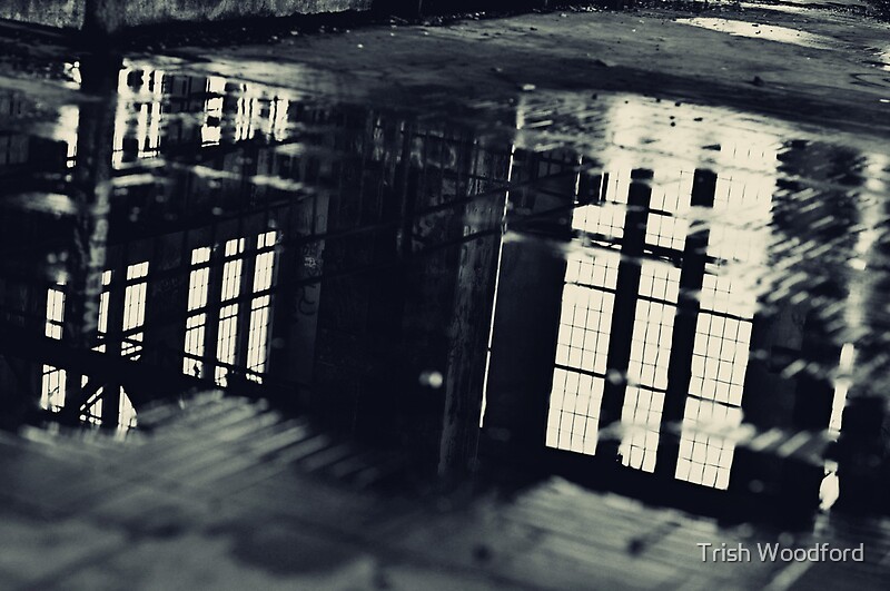 "Altered Perceptions" by Trish Woodford | Redbubble